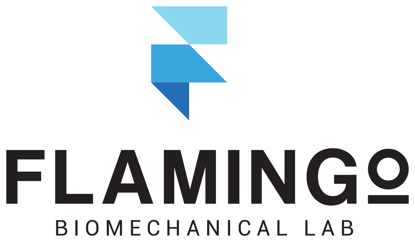 Institute - Flamingo Biomechanical Lab